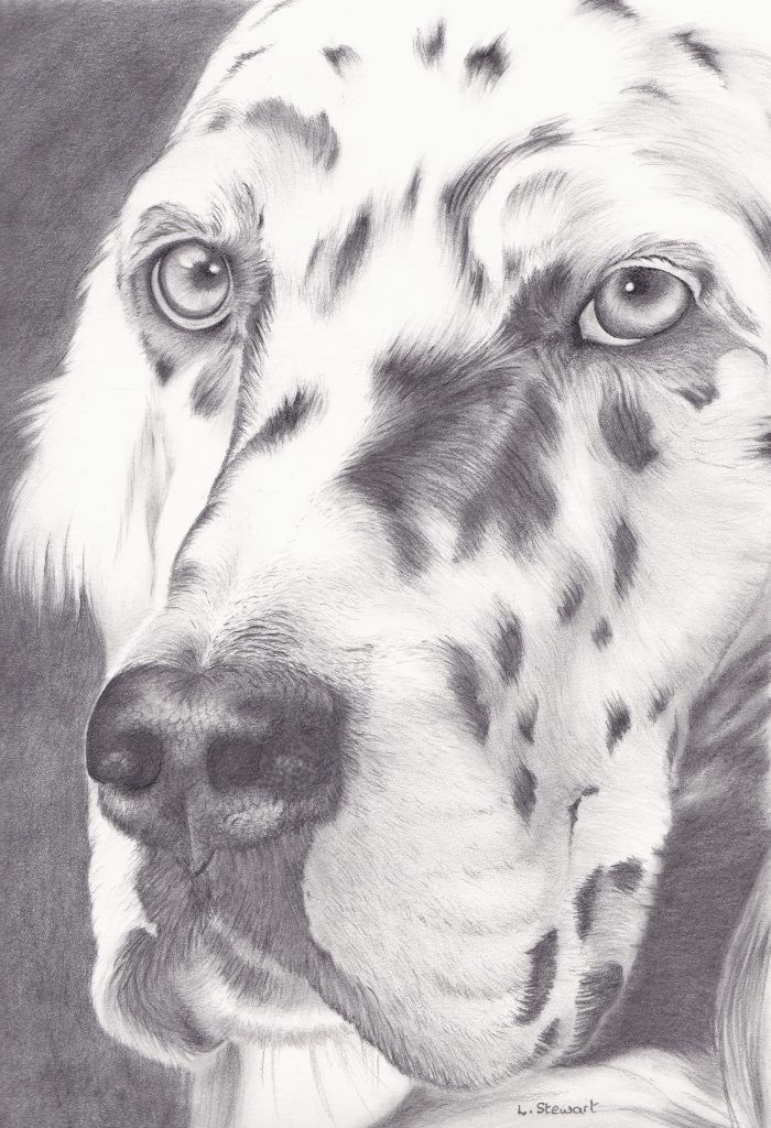 Paintings by Linda – Bollington, the Happy Valley!